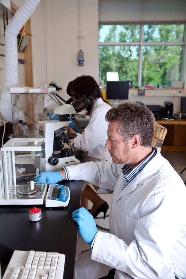 Scientific Team Performs Research Stock Photo - Image of women, biology ...