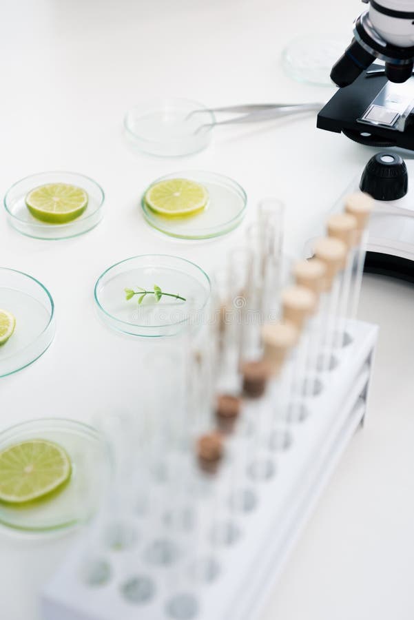 Scientific tools stock image. Image of scientific, tube - 10817357