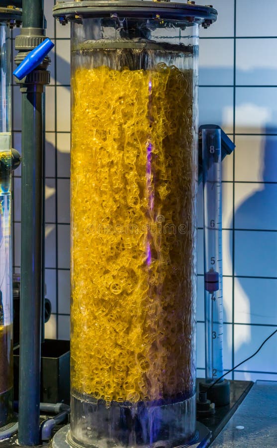 Scientific Water Pump System, Experimental Processes, Liquid Tubes in a ...