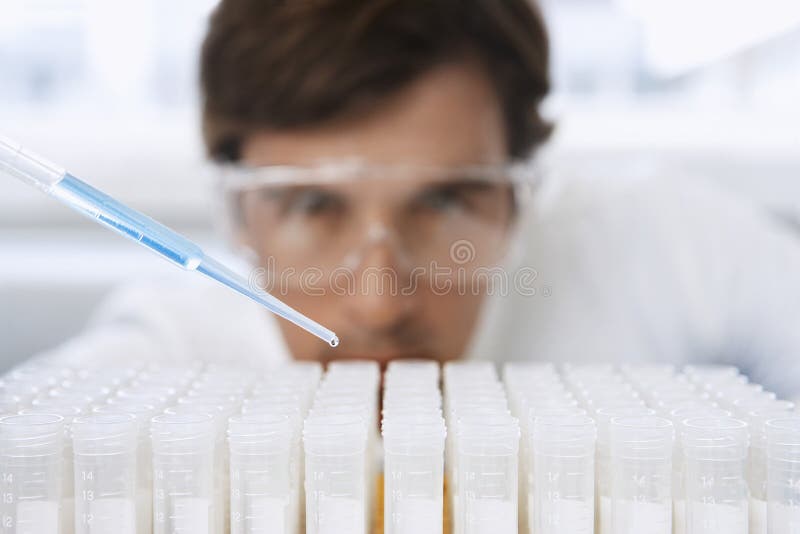 Scientist Adding Solution To Test Tubes Stock Photo - Image of ...