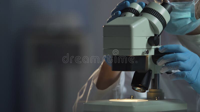 Scientist Adjusts Microscope To See Cell Molecular Compound ...