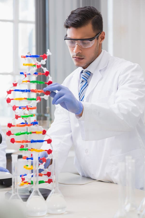 Scientist Analysing Dna Helix Stock Photo - Image of research, medical ...