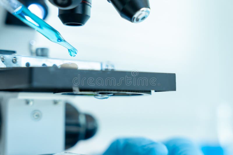 Scientist Analyze Biochemical Samples in Advanced Scientific Laboratory ...