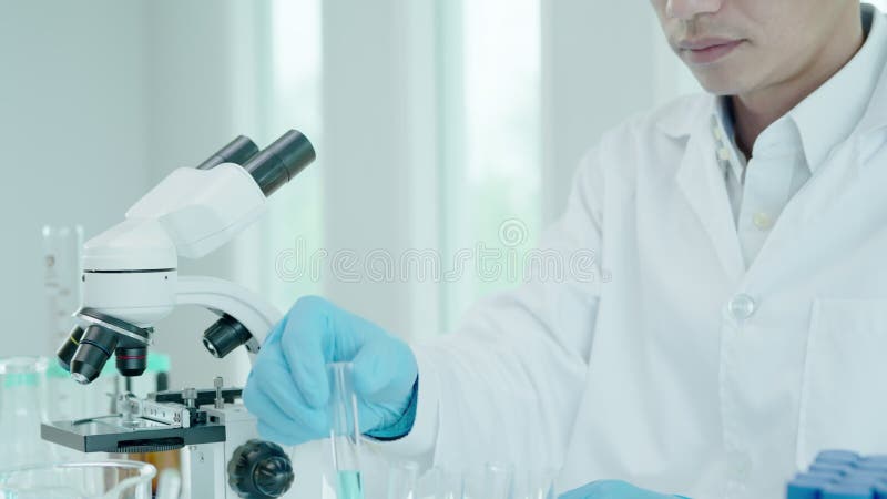 Scientist Analyze Biochemical Samples in Advanced Scientific Laboratory ...