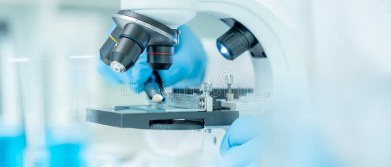 Scientist Analyze Biochemical Samples in Advanced Scientific Laboratory ...