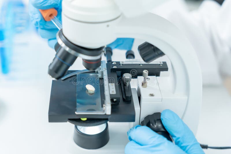 Scientist Analyze Biochemical Samples in Advanced Scientific Laboratory ...