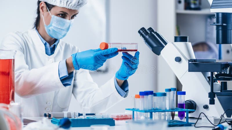 Scientist Analyzing Cultured Artificial Meat Sample Under the ...