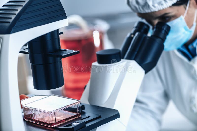 Scientist Analyzing Cultured Artificial Meat Sample Under the ...