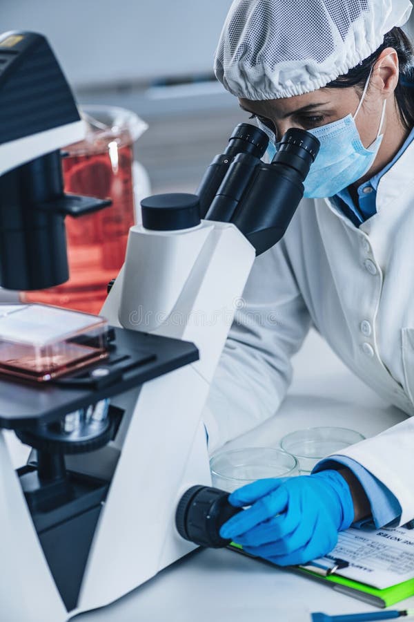 Scientist Analyzing Cultured Artificial Meat Sample Under the ...