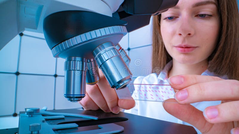 Young Woman Technician Is Examining A Histological Sample, A Biopsy In ...