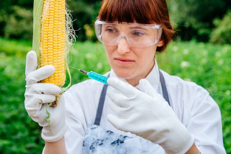 Scientist Biologist in a Lab Coat and Protective Gloves Introduces a ...