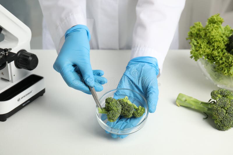 Scientist with Broccoli at Table in Laboratory, Closeup. Poison ...