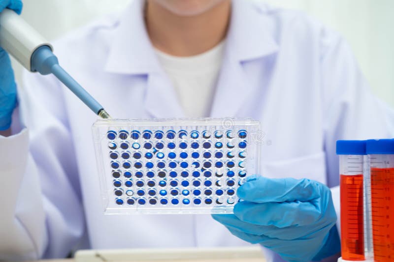 Scientist with Cell Culture in Sample Micro Plate for Research in ...