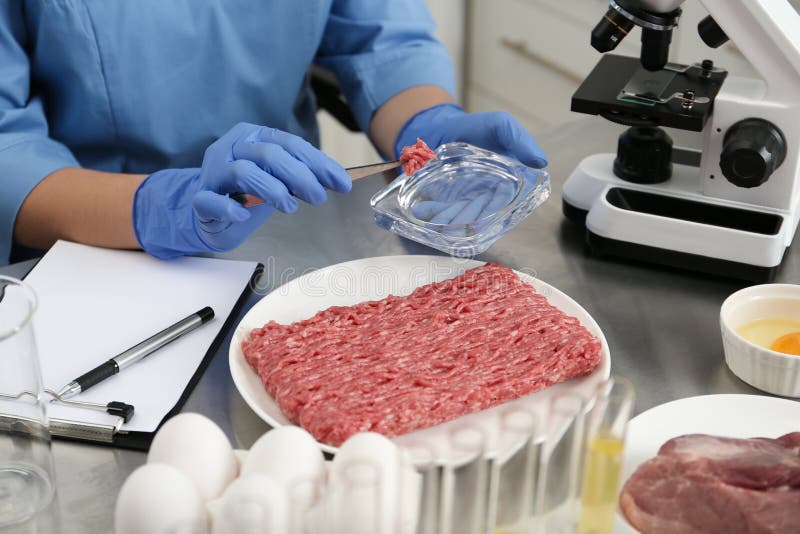 Scientist Checking Meat at Table in Laboratory, Closeup. Quality ...