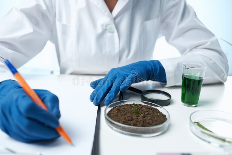 Scientist with Rat in Chemical Laboratory, Closeup. Animal Testing ...