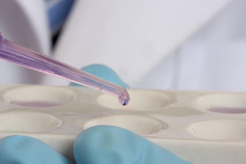 Scientist, Chemist with Pipet and Spotting Plate Stock Photo - Image of ...