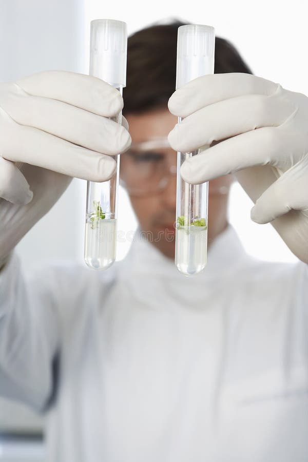 Scientist Comparing Two Test Tubes Stock Image - Image of comparison ...