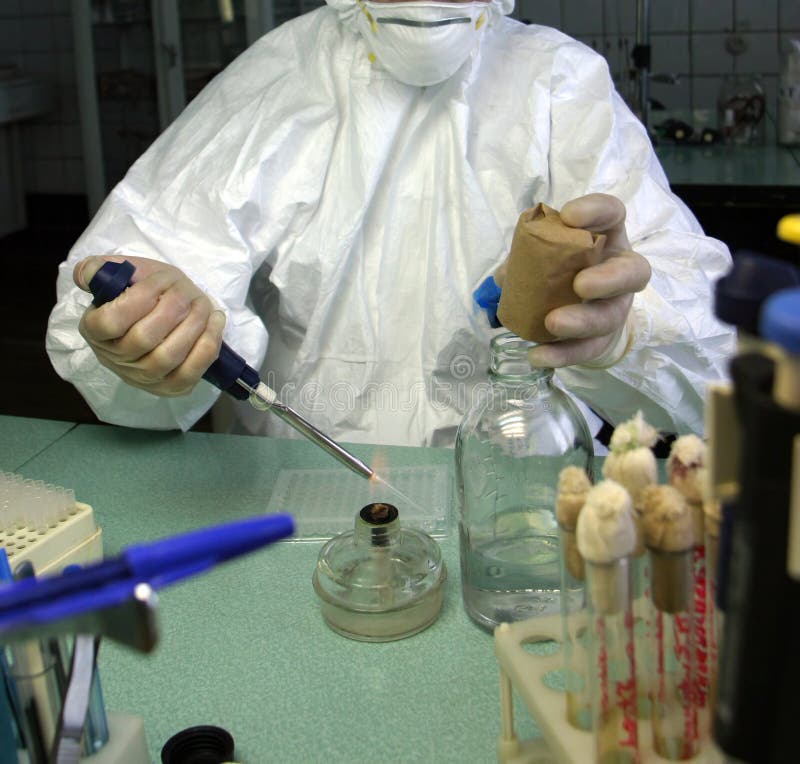 Scientist Conducting Experiments in a Biosafety Cabinet with Proper ...