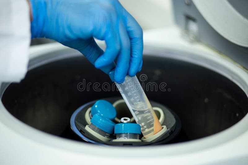 Scientist Conducting a Medical Experiment in a Laboratory Stock Photo ...