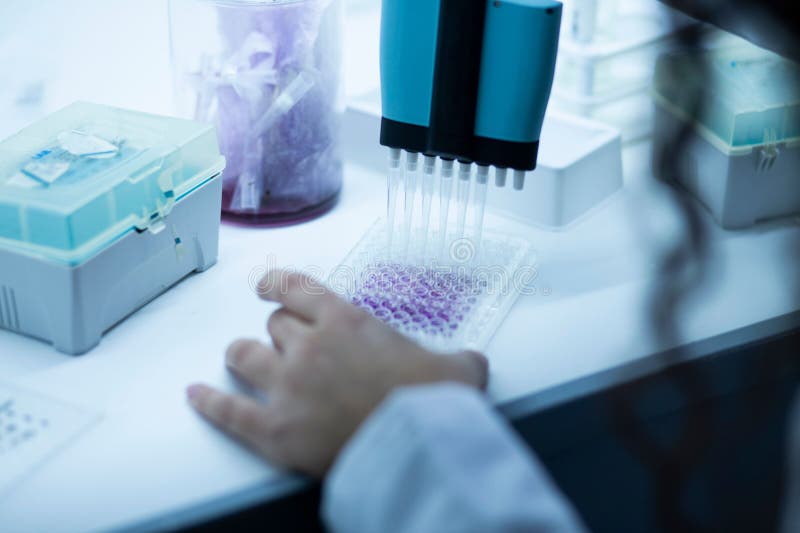Scientist Conducting Medical Testing in a Laboratory Stock Image ... Scientist Conducting Medical Testing in a Laboratory Stock Image ...