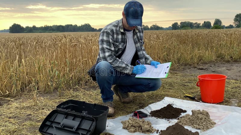 Scientist Conducting Soil Research Device, Taking Notes at Field Dawn ...