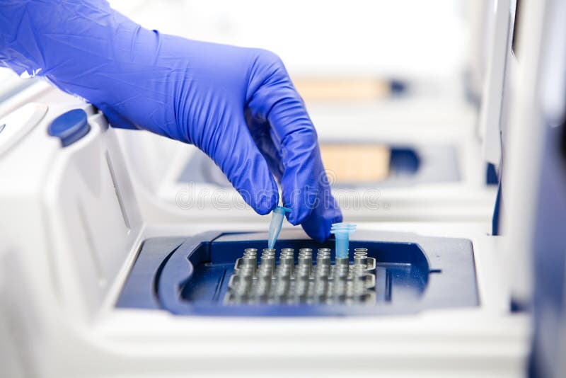 Scientist with DNA Copying, Stock Photo - Image of sample, machine ...