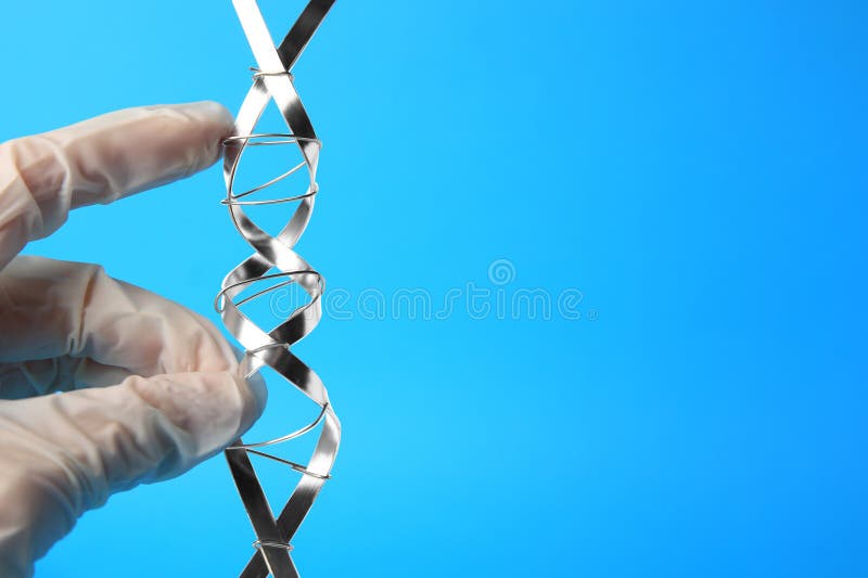 Scientist with DNA Molecular Chain Model Made of Metal on Blue ...