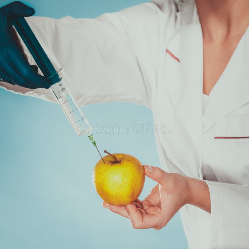 Scientist Doctor Injecting Apple. GM Food. Stock Image - Image of ...
