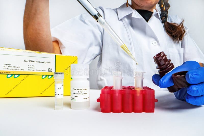 Scientist Doctor Pipetting Samples in the Lab Stock Photo - Image of ...