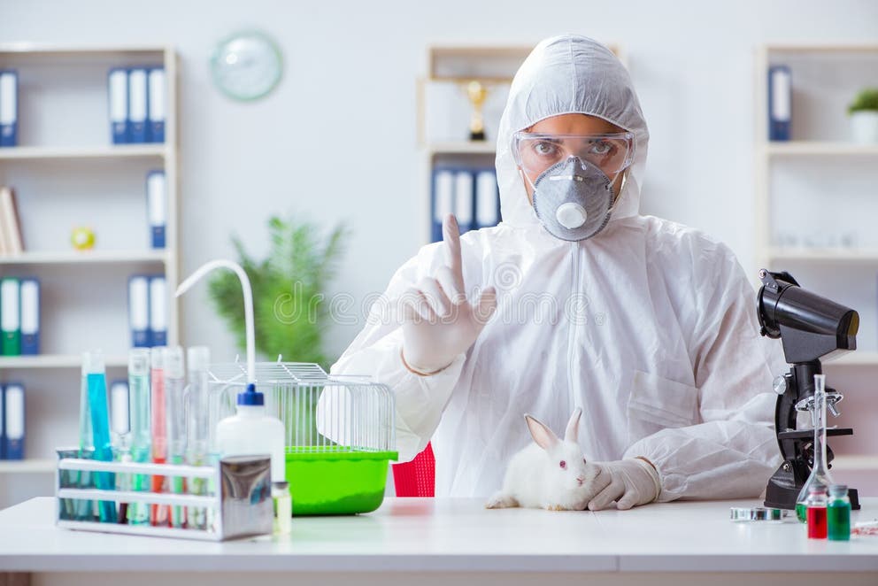 The Scientist Doing Animal Experiment in Lab with Rabbit Stock Photo ...