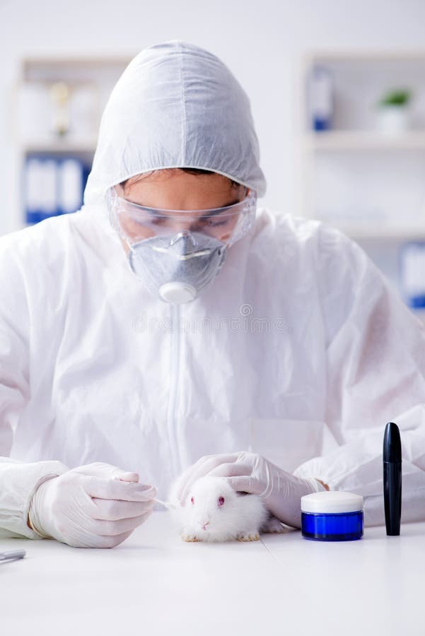 The Scientist Doing Animal Experiment in Lab with Rabbit Stock Image ...