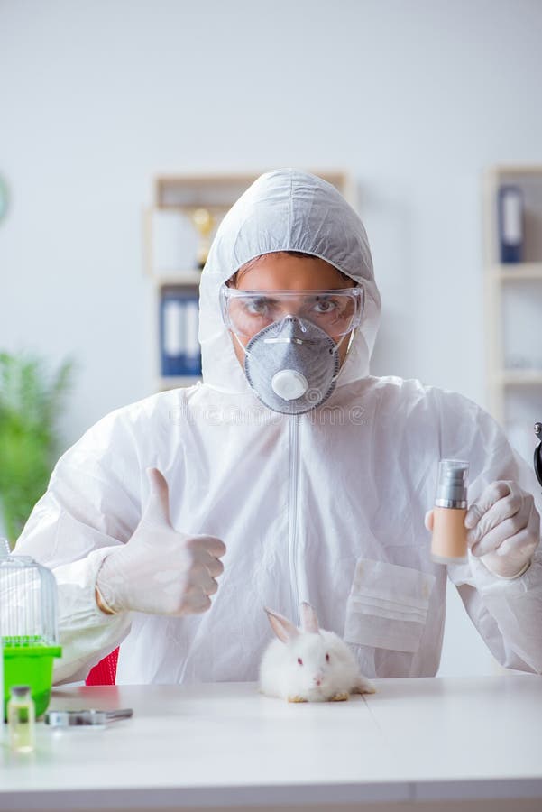 The Scientist Doing Animal Experiment in Lab with Rabbit Stock Image ...