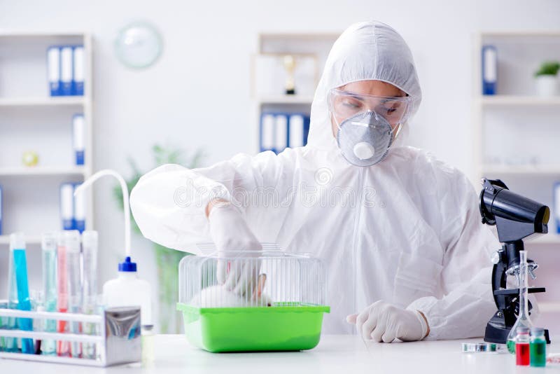 The Scientist Doing Animal Experiment in Lab with Rabbit Stock Image ...