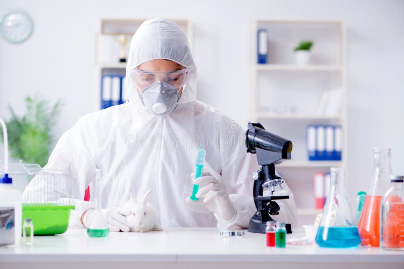 The Scientist Doing Animal Experiment in Lab with Rabbit Stock Photo ...