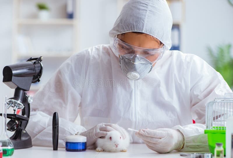 Scientist Doing Animal Experiment in Lab with Rabbit Stock Photo ...