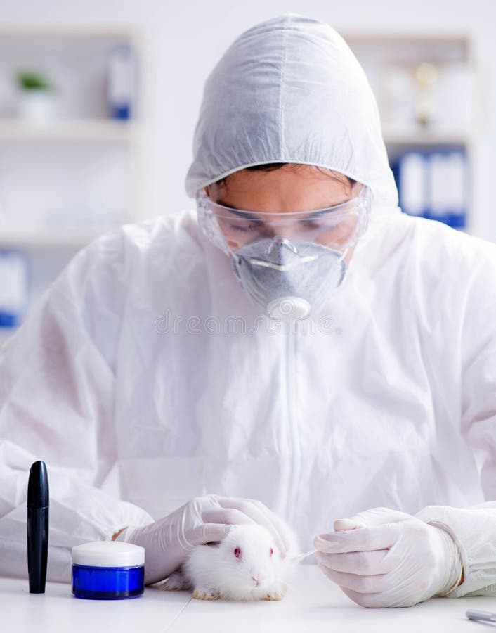 Scientist Doing Animal Experiment in Lab with Rabbit Stock Photo ...
