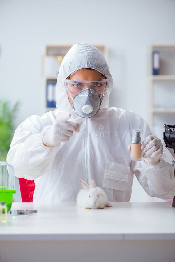 The Scientist Doing Animal Experiment in Lab with Rabbit Stock Image ...