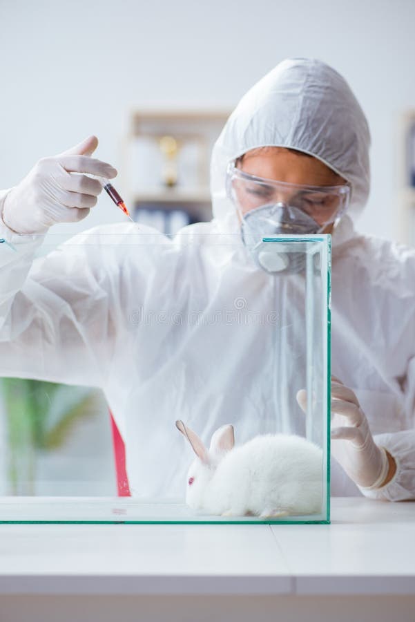 The Scientist Doing Animal Experiment in Lab with Rabbit Stock Image ...