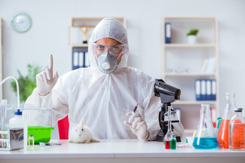 The Scientist Doing Animal Experiment in Lab with Rabbit Stock Photo ...