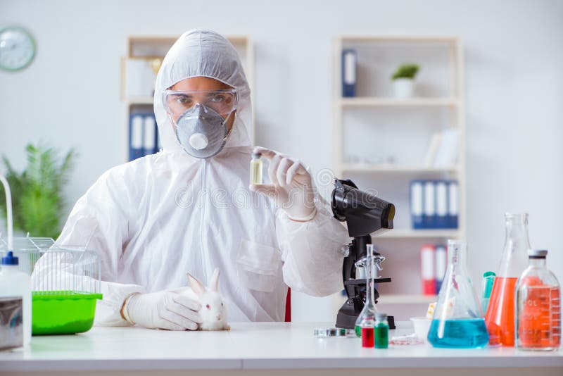 The Scientist Doing Animal Experiment in Lab with Rabbit Stock Photo ...