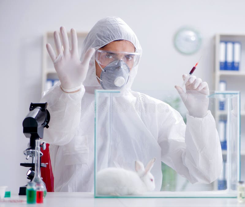 Scientist Doing Animal Experiment in Lab with Rabbit Stock Photo ...