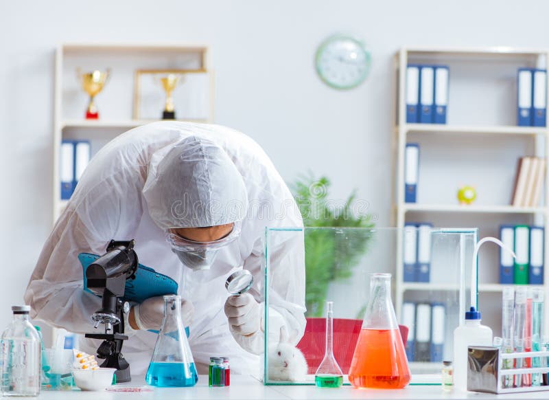 Scientist Doing Animal Experiment in Lab with Rabbit Stock Photo ...