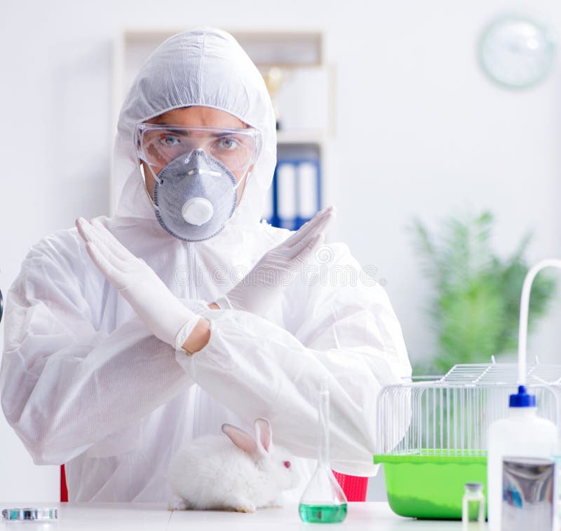 Scientist Doing Animal Experiment in Lab with Rabbit Stock Photo ...