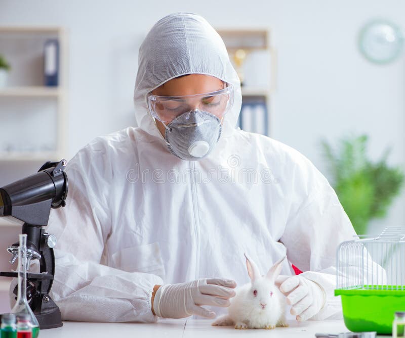 Scientist Doing Animal Experiment in Lab with Rabbit Stock Photo ...