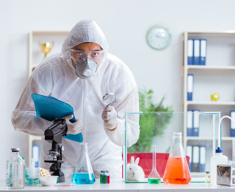 Scientist Doing Animal Experiment in Lab with Rabbit Stock Photo ...