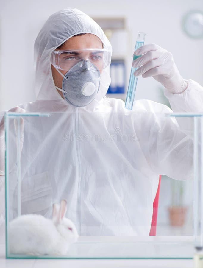 Scientist Doing Animal Experiment in Lab with Rabbit Stock Photo ...