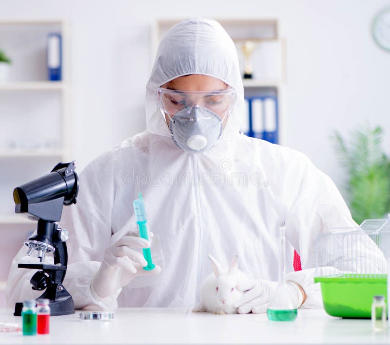 Scientist Doing Animal Experiment in Lab with Rabbit Stock Image ...
