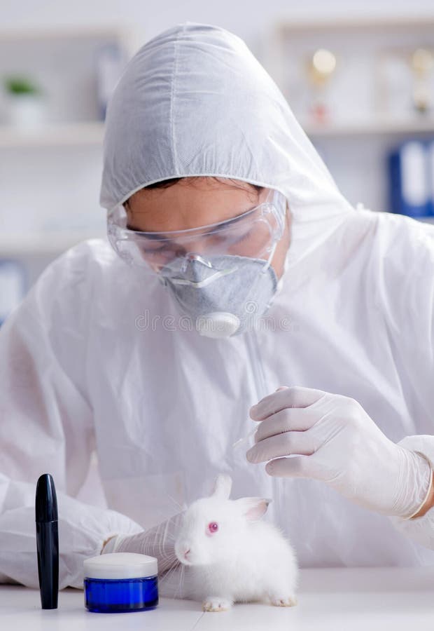 Scientist Doing Animal Experiment in Lab with Rabbit Stock Image ...