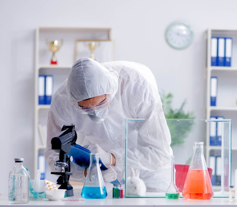 Scientist Doing Animal Experiment in Lab with Rabbit Stock Image ...