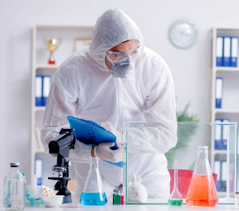 Scientist Doing Animal Experiment in Lab with Rabbit Stock Photo ...